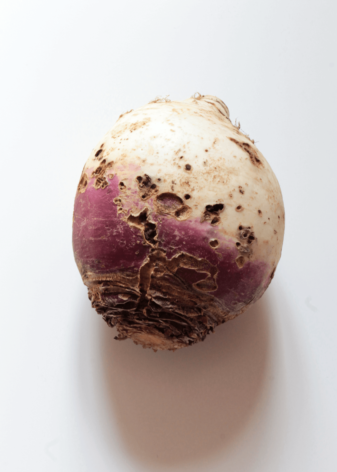 Vellutata di rapa bianca, patate e porri - Healthy Barta